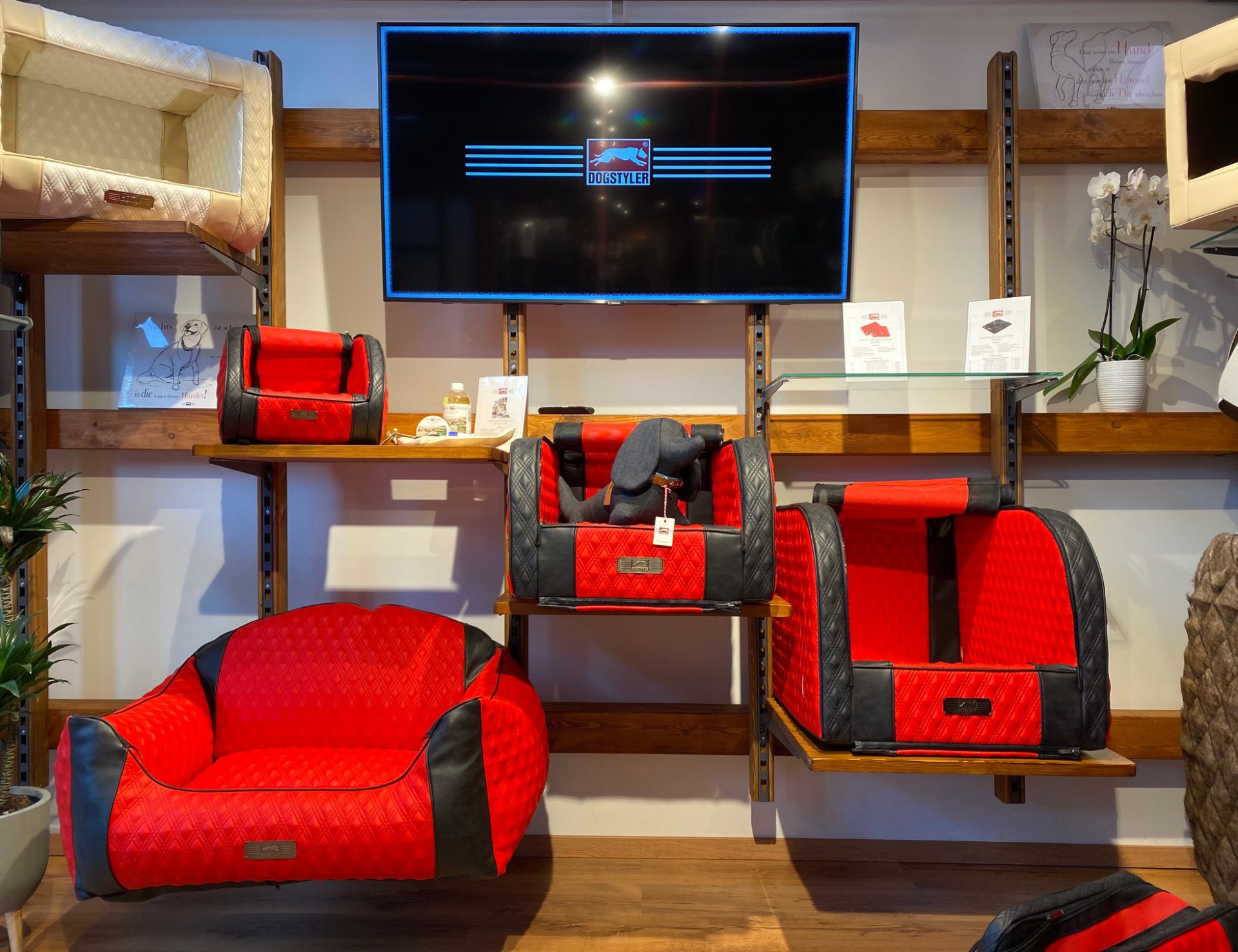 Dogstyler Köln-Junkersdorf • Style for Dogs – Lebensart24