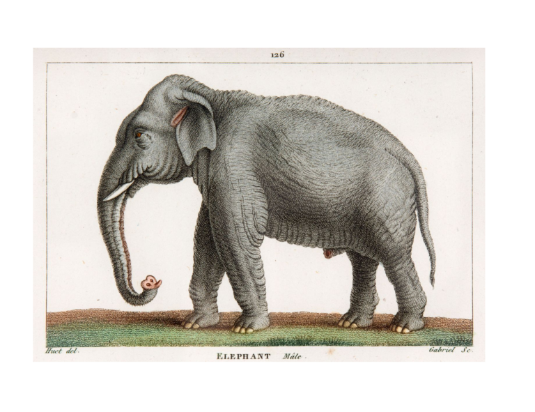 Venator & Hanstein – Lebensart24